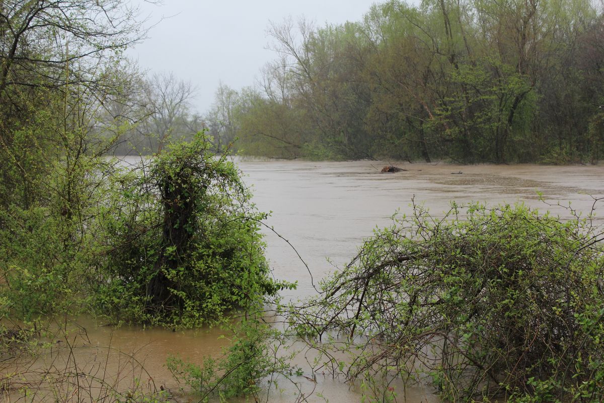VIDEO Southeast Missouri flood watch: Rivers cresting lower than origi...