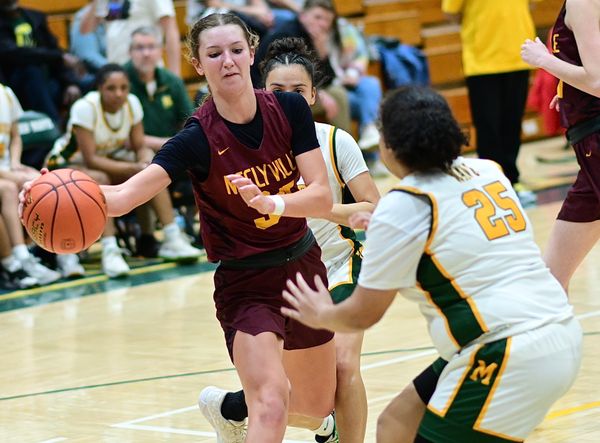 Neelyville Lady Tigers aim to build on state run with strong leadershi...