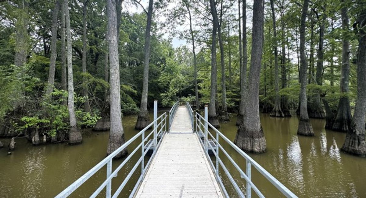 Discover nature at MDC’s Allred Lake Natural Area in Butler ...