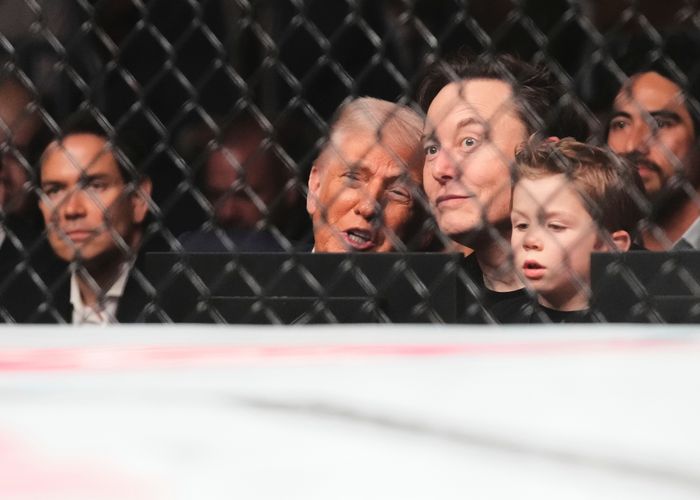 Trump sits cageside at Miami UFC event in his latest appearance at a s...