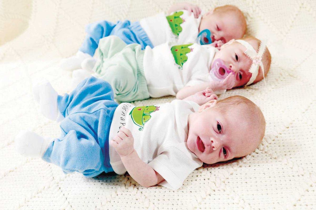 Householder triplets settle in at home