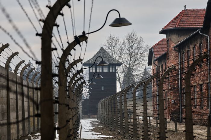 International Holocaust Remembrance Day, in photos
