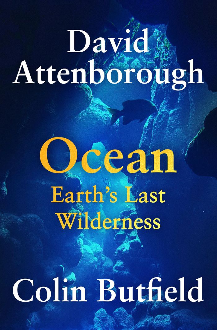 Book Review: David Attenborough takes readers to ‘Earth’s Last Wildern...