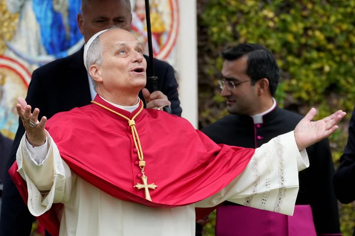 Pope gets invitation to visit Peru during a Vatican garden party, then...