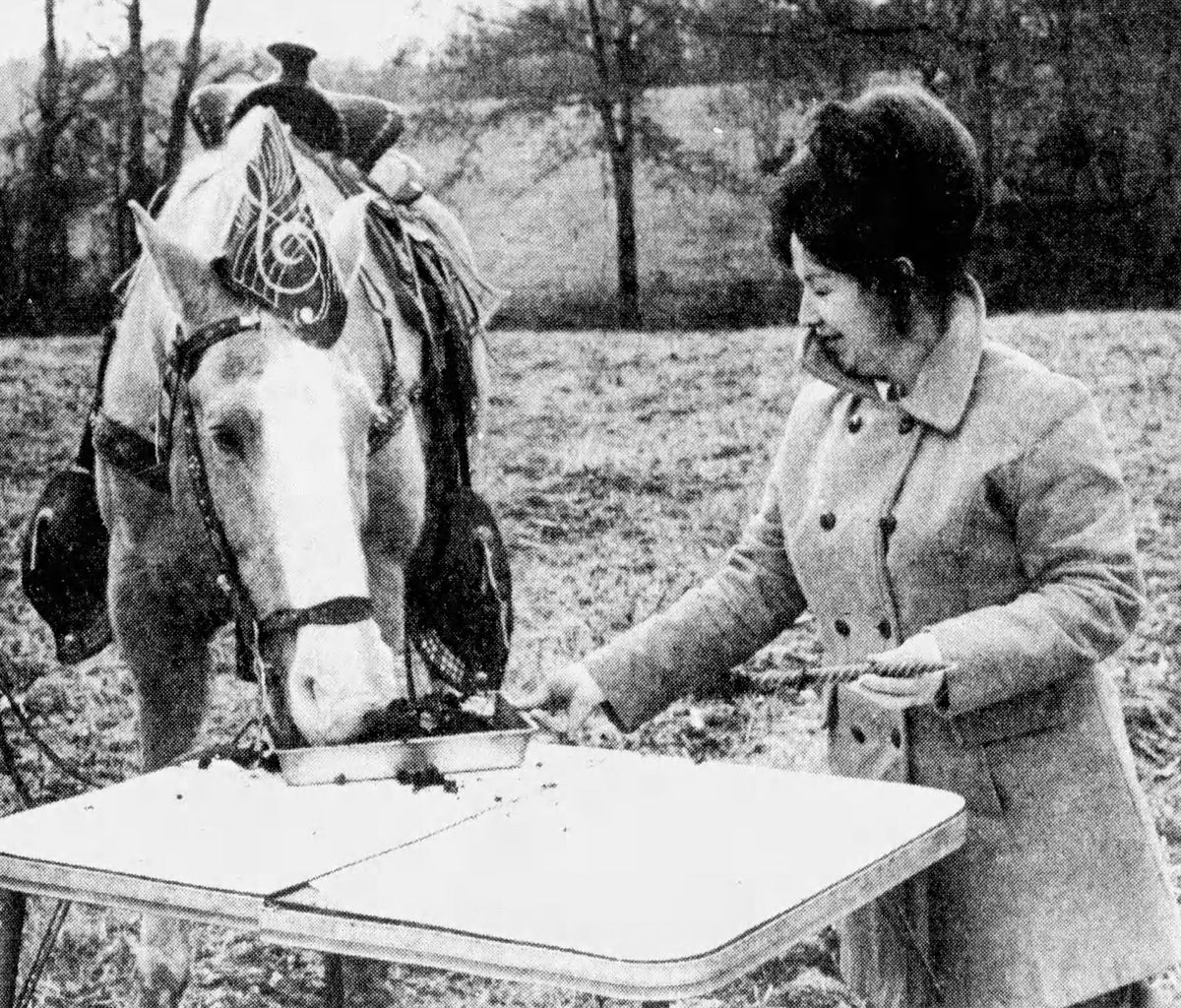1975: Happy birthday from the horse's mouth