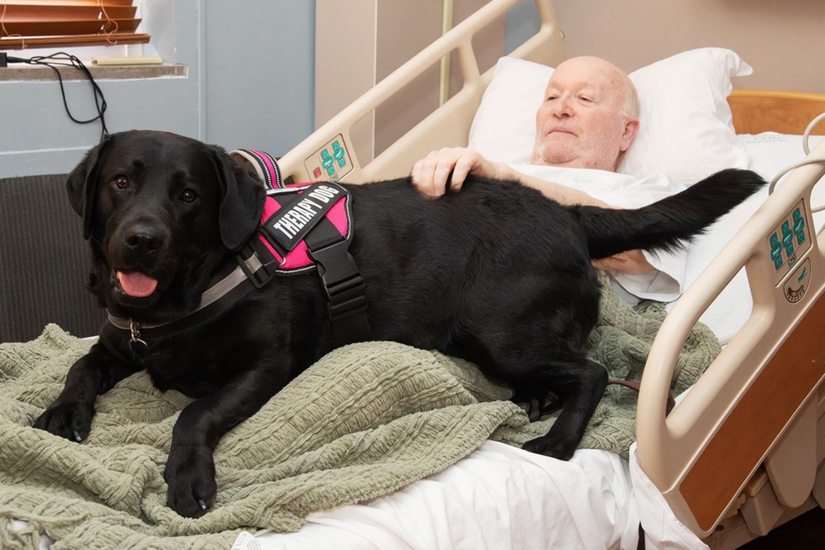 Puppy power: Therapy dog visits make VA hospital feel ‘more ...
