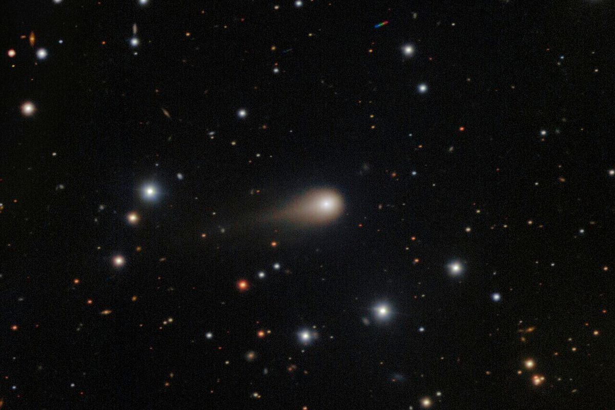 Telescope reveals a growing tail on the comet that's visiting from ano...