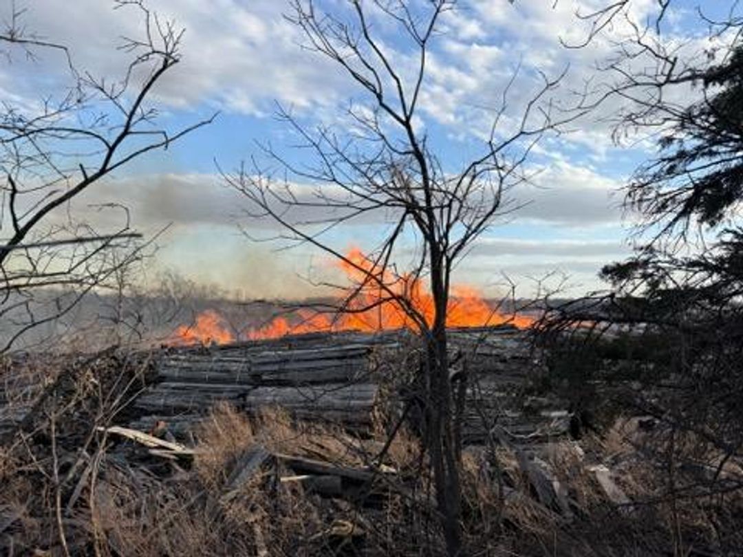 Free access: Fire at Royal Oak charcoal kiln in Ellsinore triggers mul...