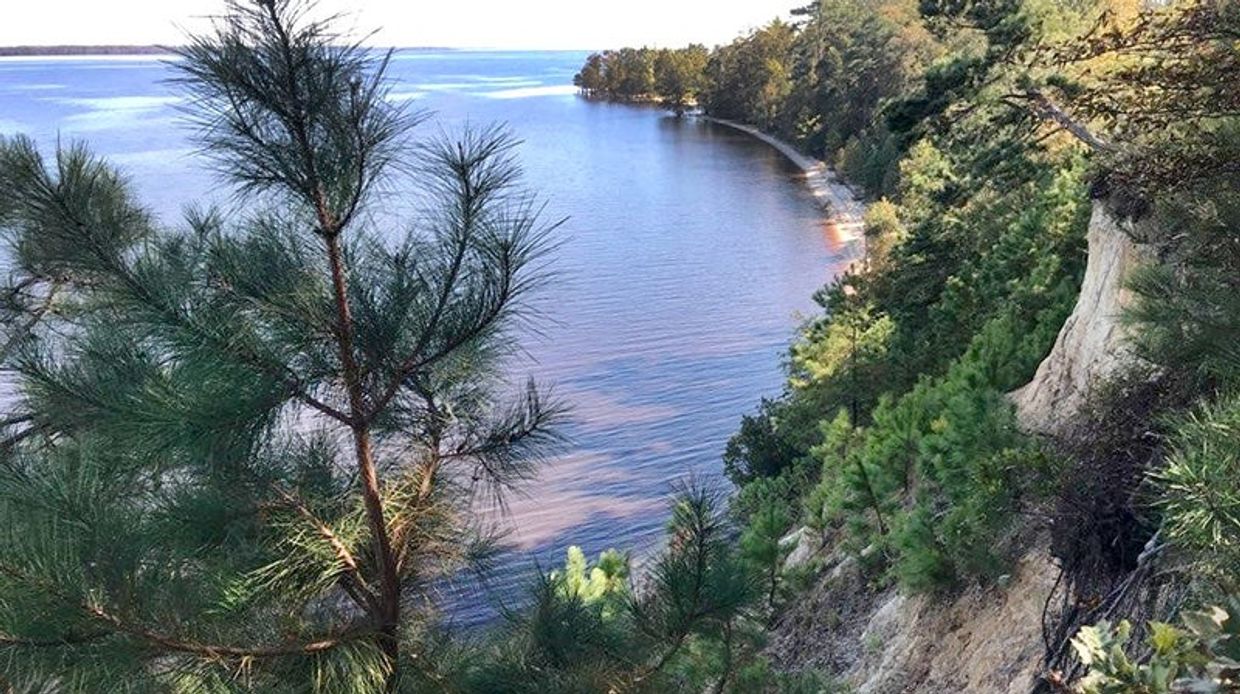River bluffs conserved near Point Comfort