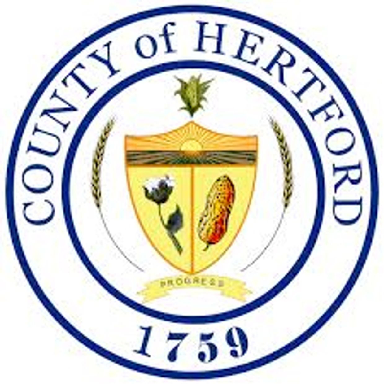 State of Emergency issued locally