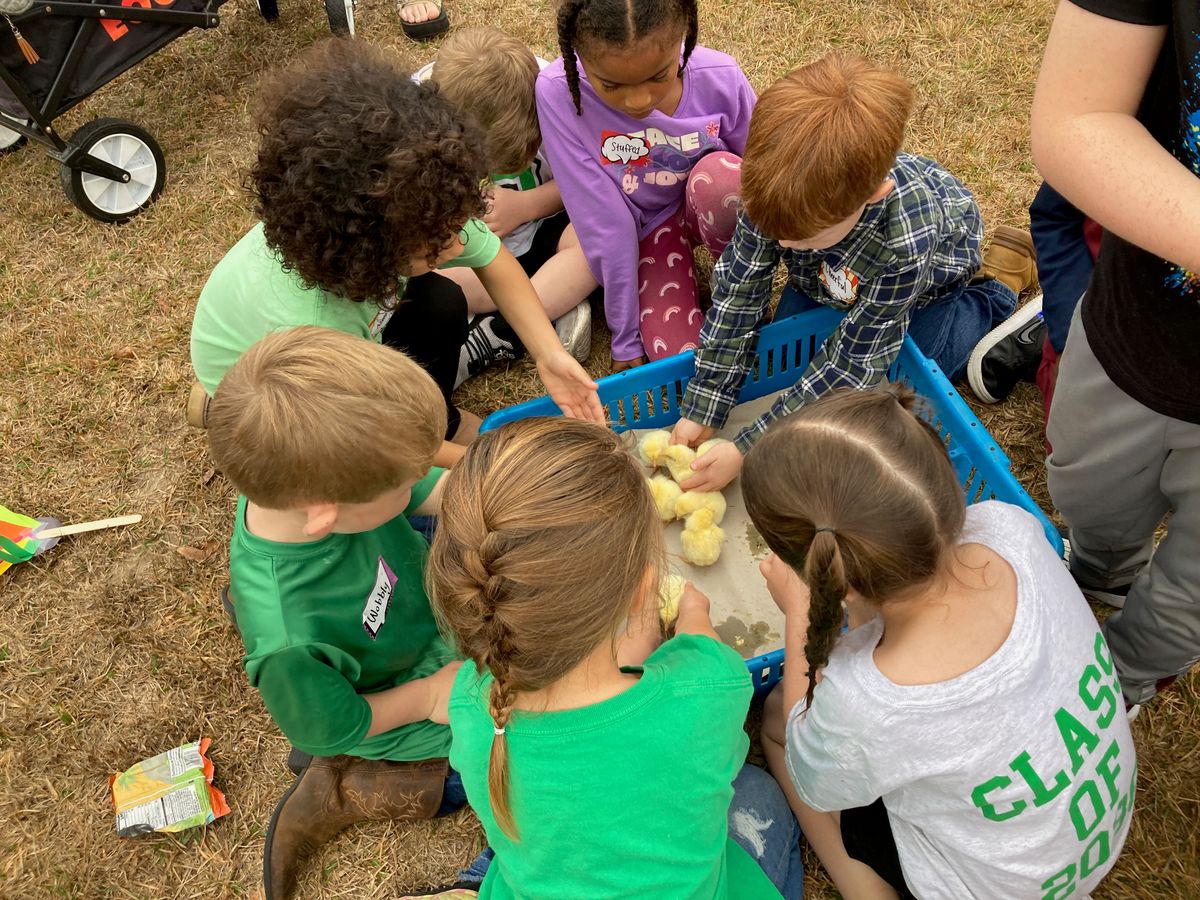 Kindergarteners participate in Farm-City Day