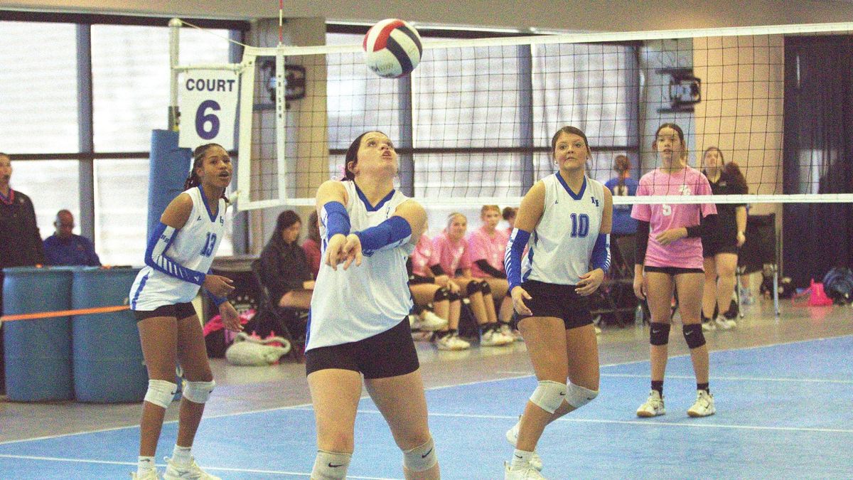 Flying Squadron volleyball makes state bid
