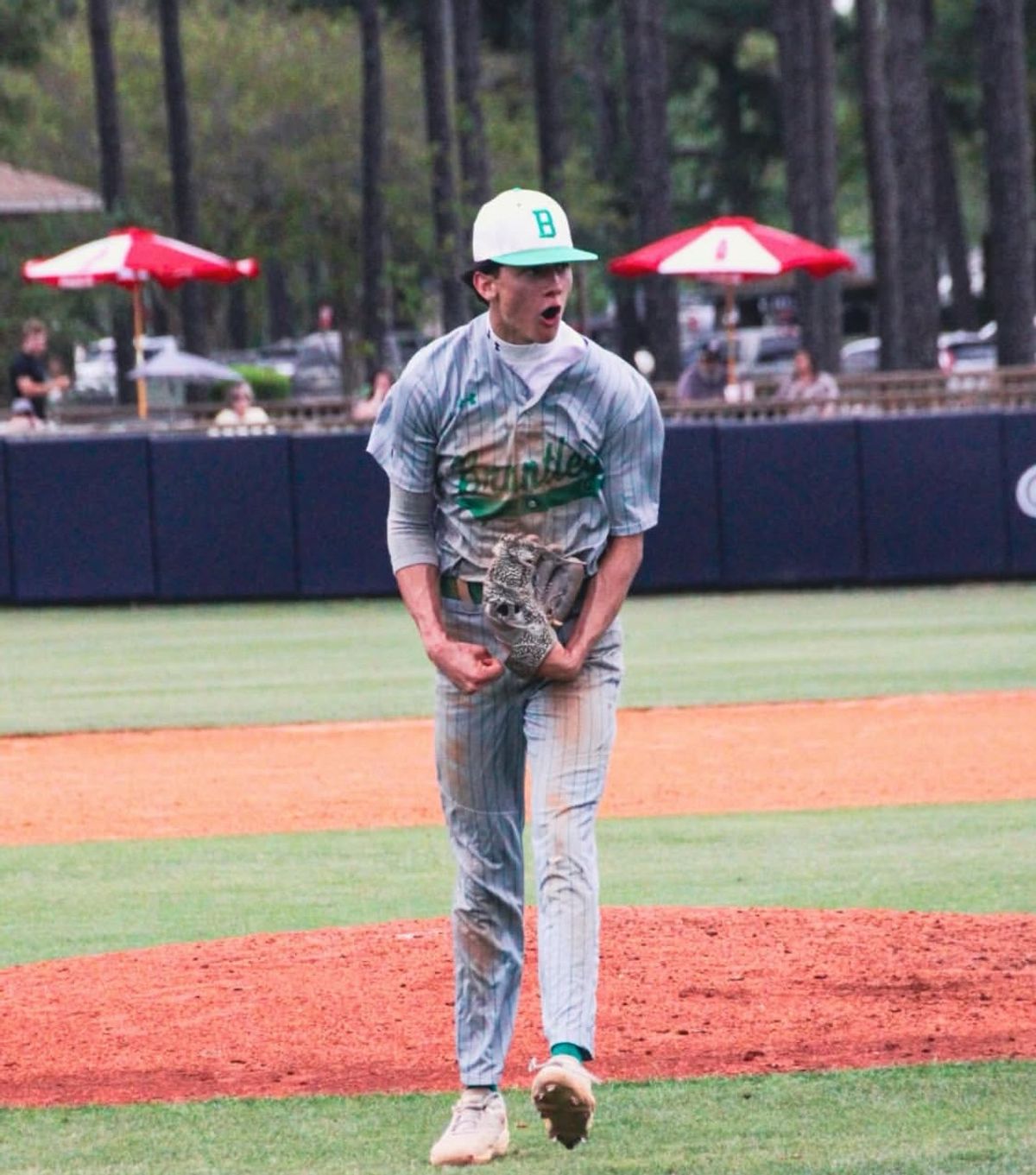 Brantley baseball, softball boast 9 wins