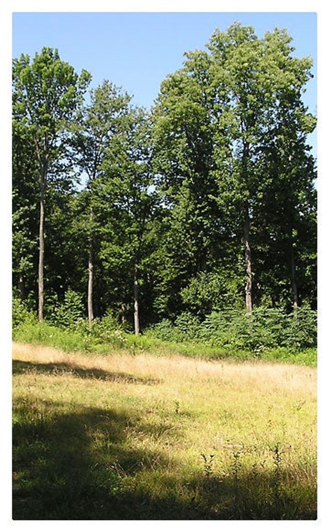 March proclaimed Prescribed Fire Awareness Month