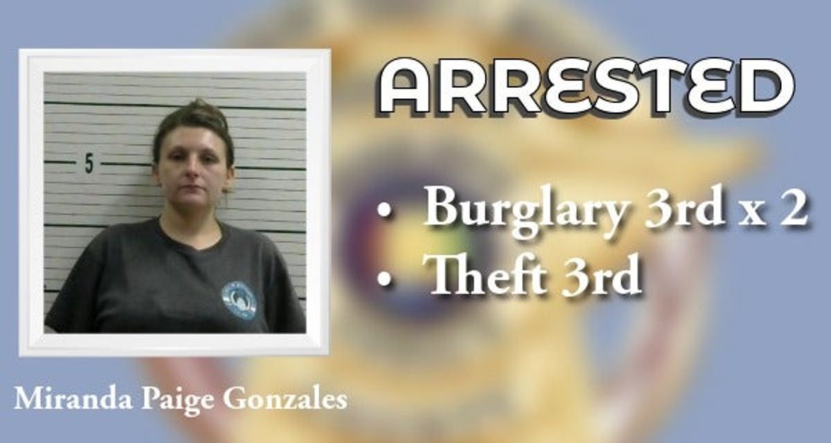 Gonzales arrested, charged with burglary, theft