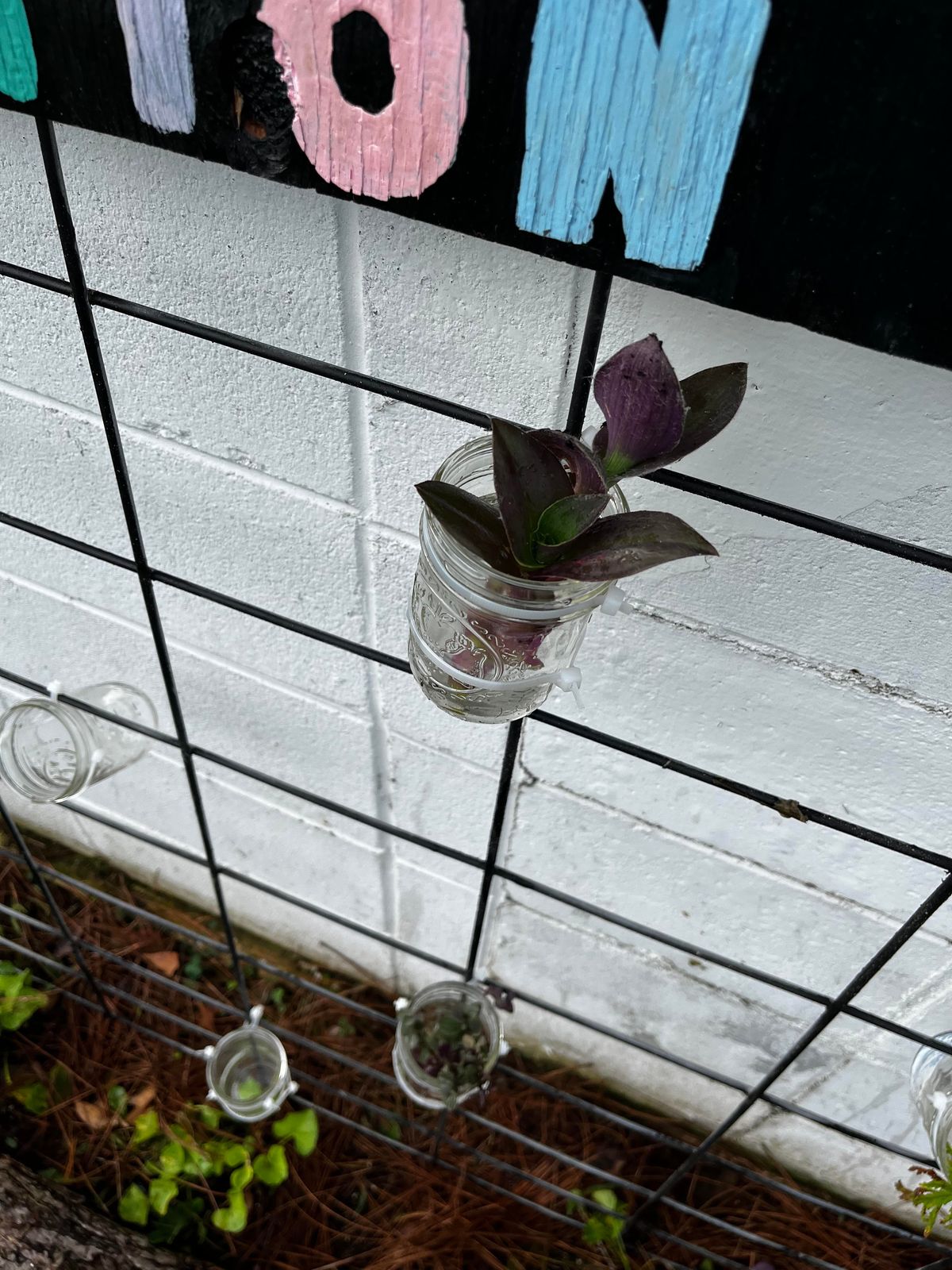 "Propagation Stations" stations sprouting across county