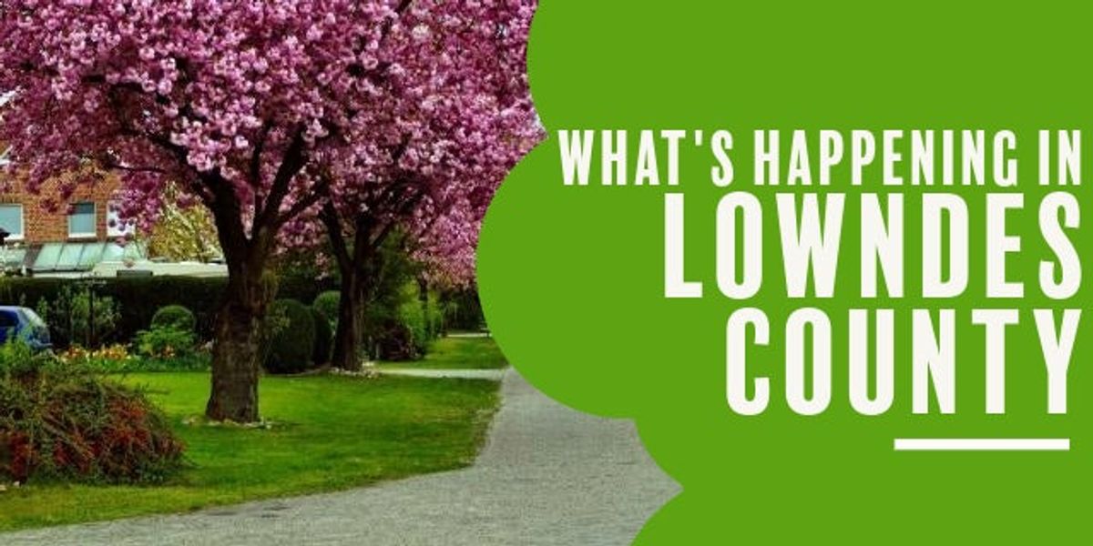 What's Happening in Lowndes County
