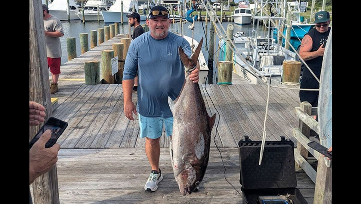 Hefty catch: New state record certified for almaco jack reel...