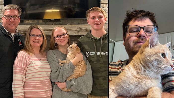 Stowaway: The adventures of Delilah the cat