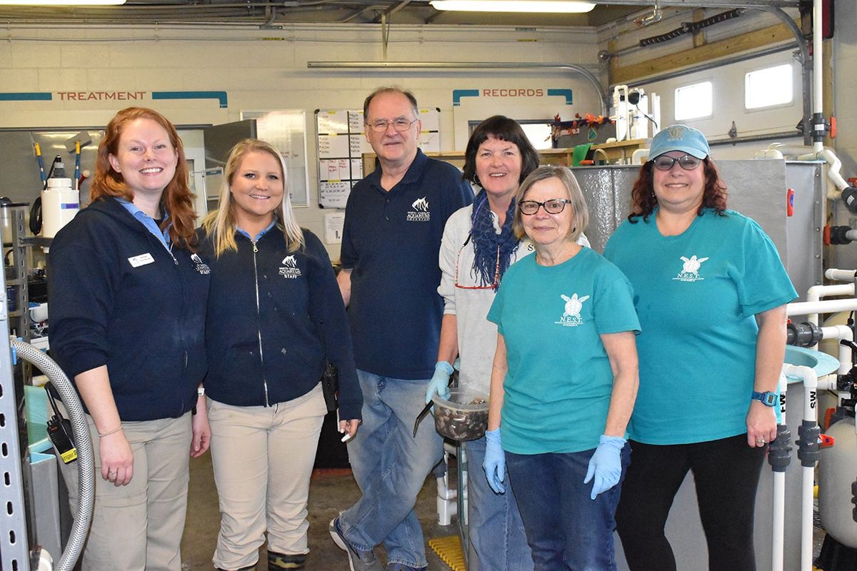 After the rescue: Recovery and rehabilitation for sea turtles at the S...