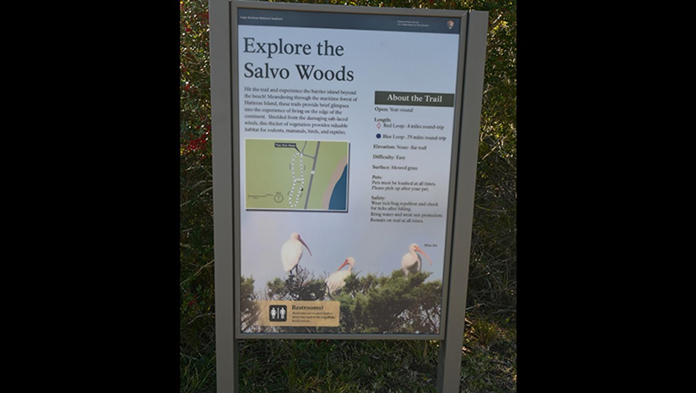 History is alive in Salvo