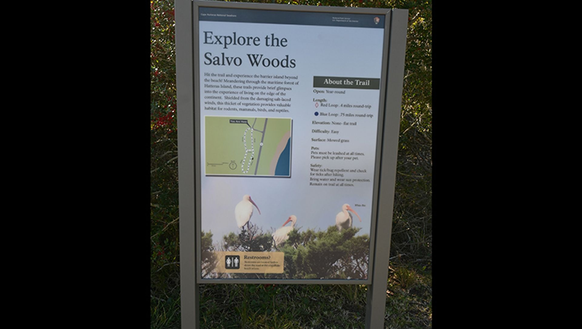History is alive in Salvo