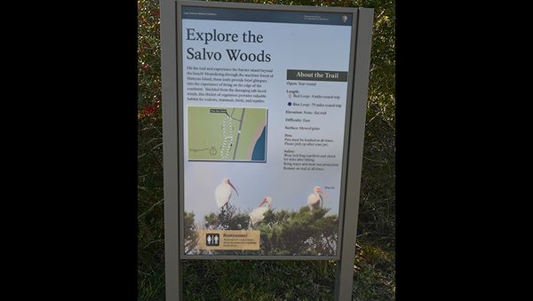 History is alive in Salvo