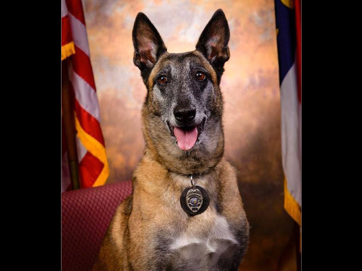 Kill Devil Hills announces death of retired K-9 Police Officer Ire