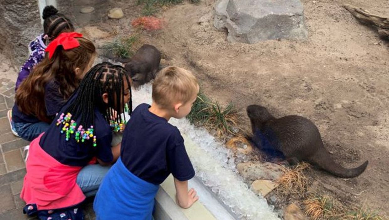 NC Aquariums offer half-off tickets on Martin Luther King Jr. Day