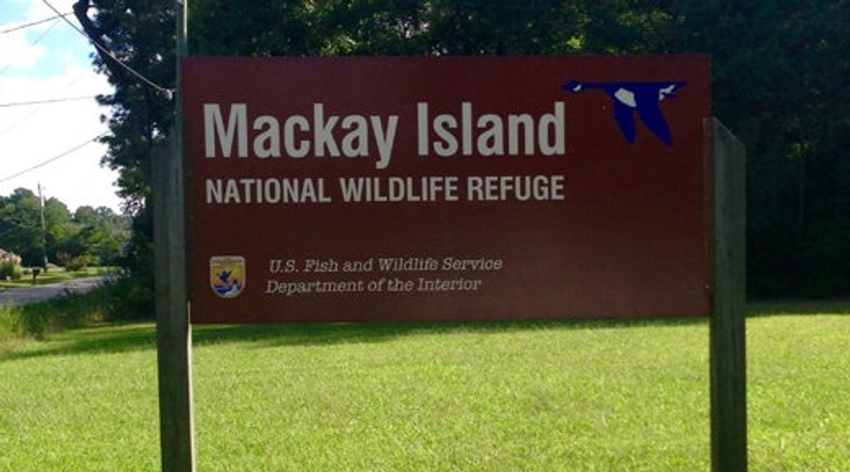 "Open Roads" at Mackay Island National Wildlife Refuge