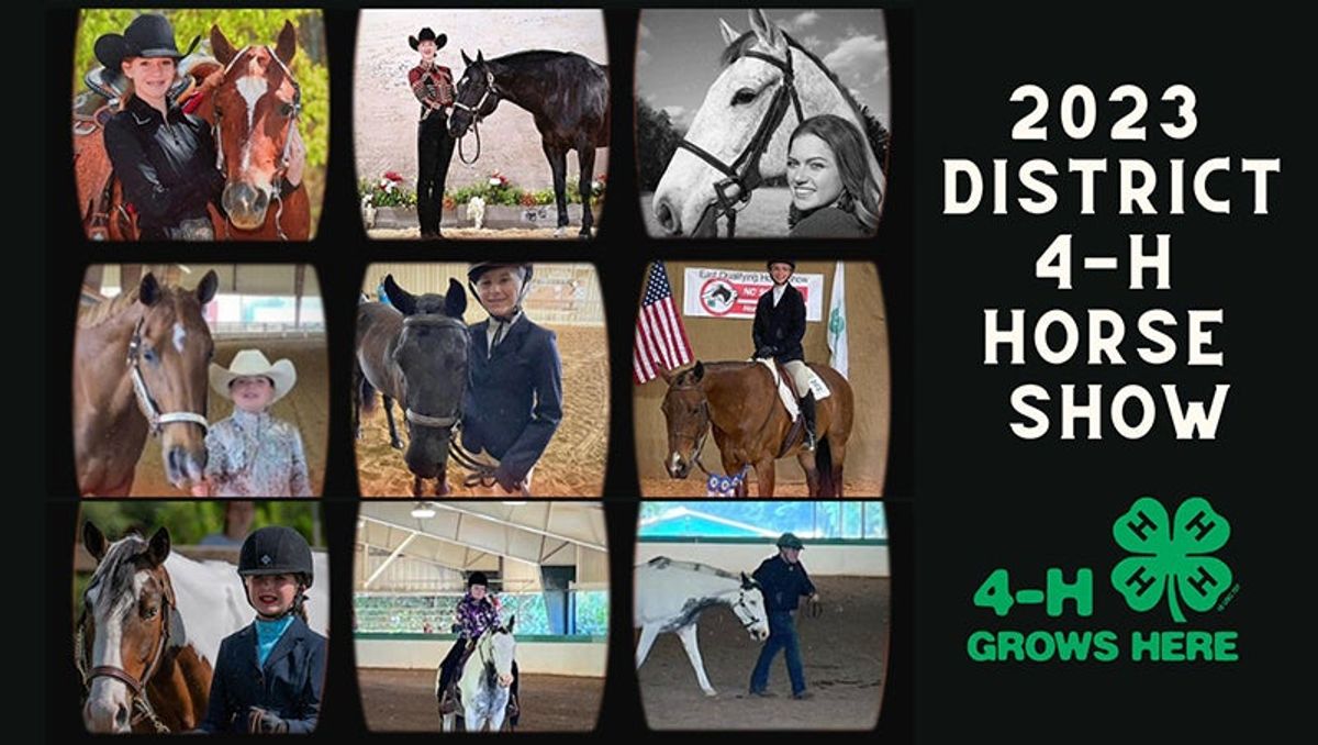 2023 district 4-H horse shows