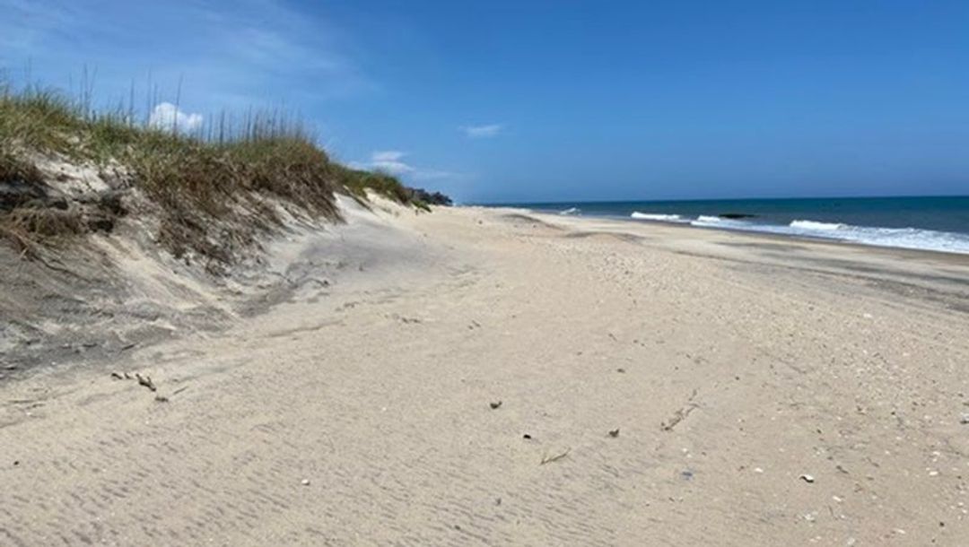 The latest News News, Stories, and Articles | The Coastland Times.