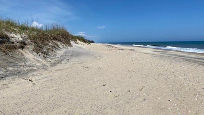 The latest News News, Stories, and Articles | The Coastland Times.