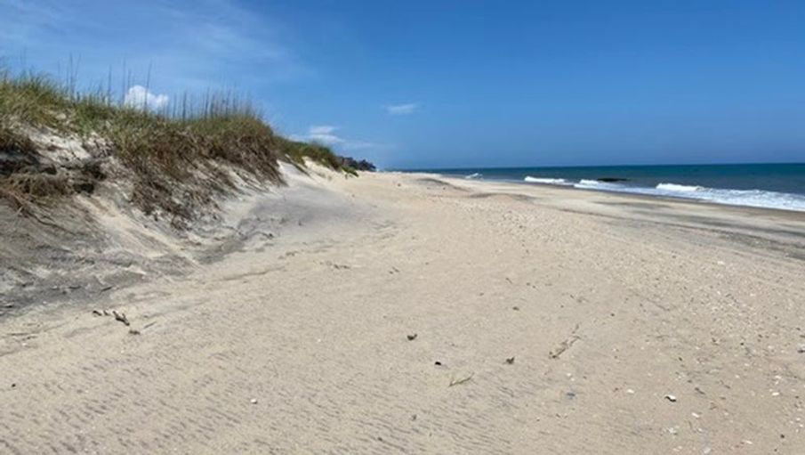 The latest News News, Stories, and Articles | The Coastland Times.