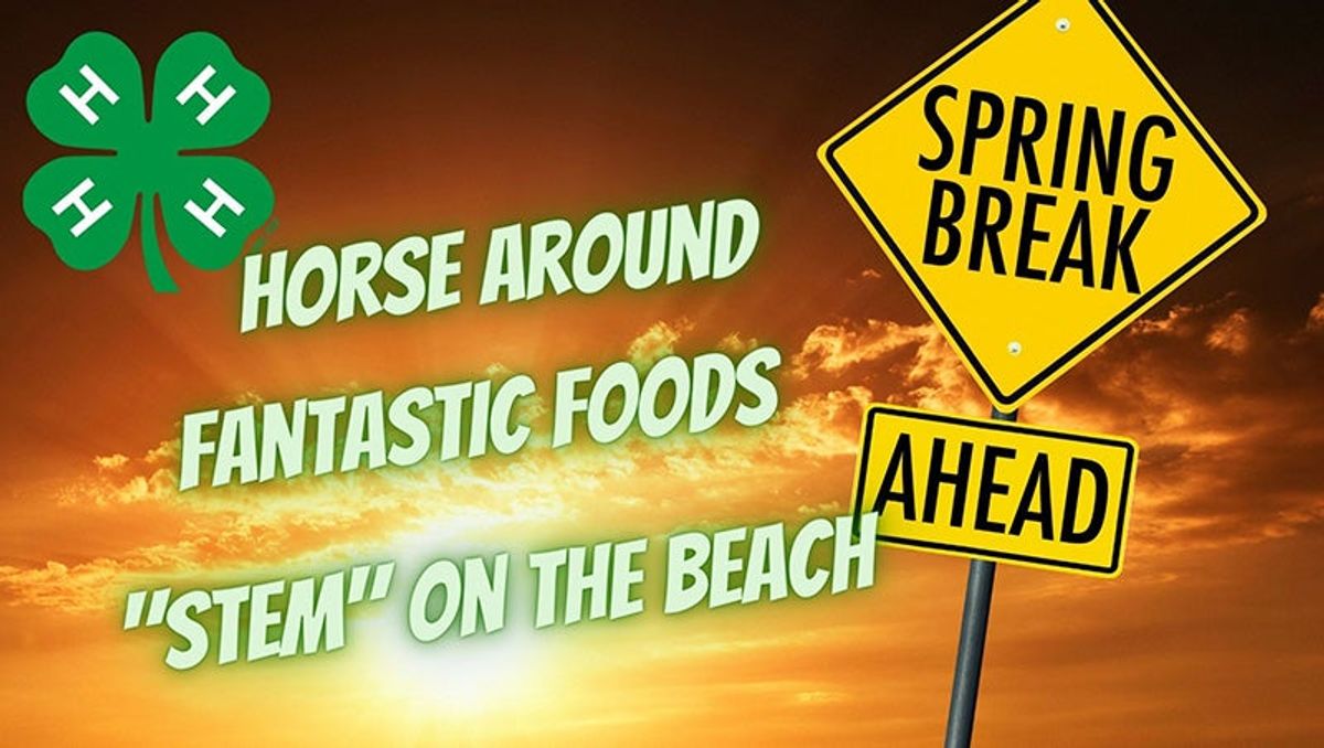 4-H "Spring Fling" activities feature horses, cooking, fishing