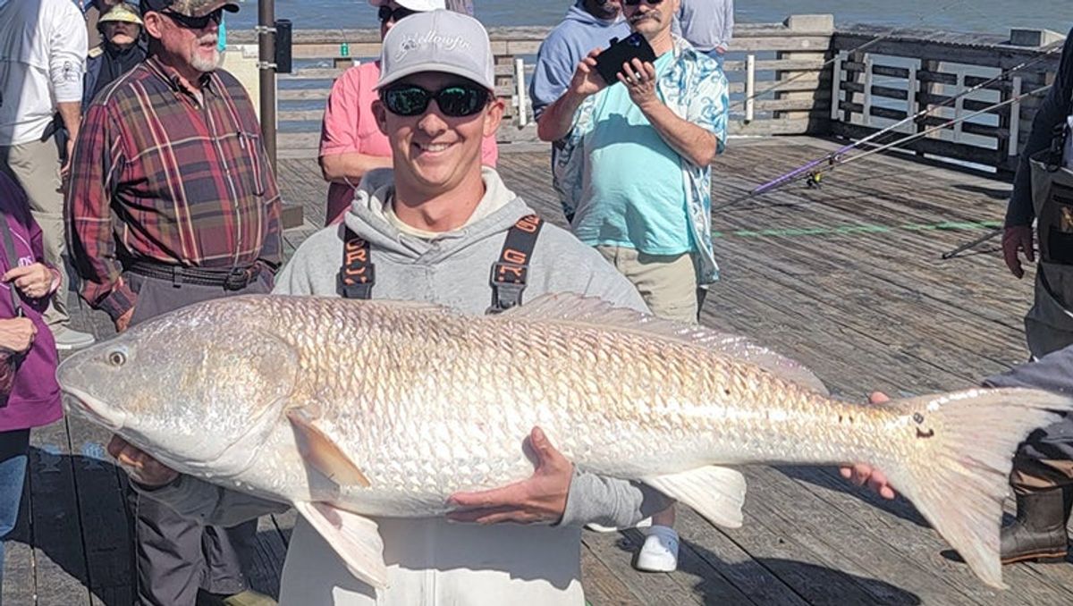 Big bull: Giant 49-inch red drum caught in Nags Head