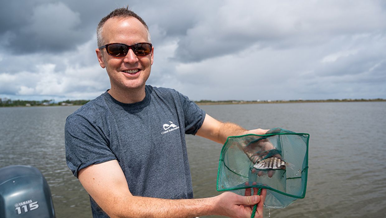 Science on the Sound program to explore life history of shee...