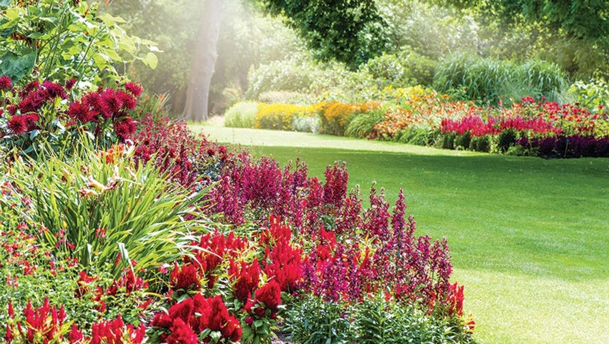 Currituck Extension sets landscape design fundamentals presentation