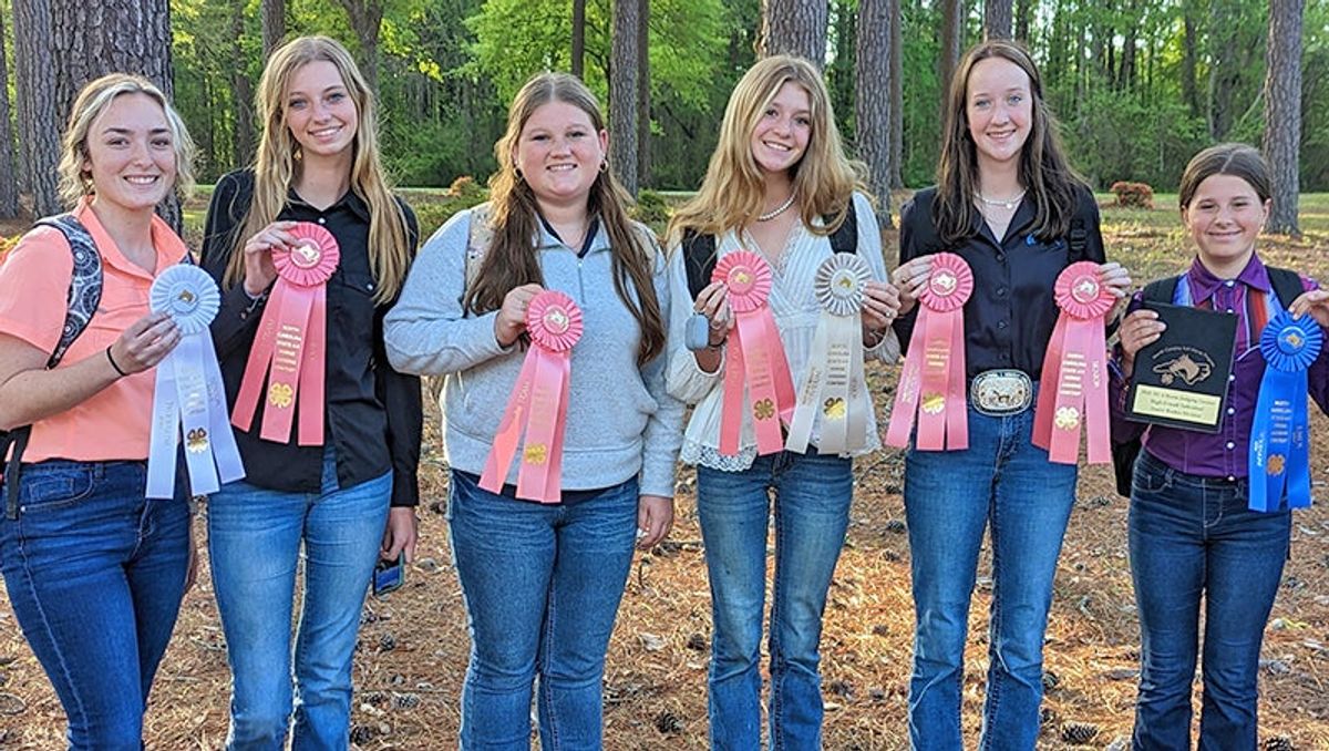 Currituck youth excel at state 4-H horse judging