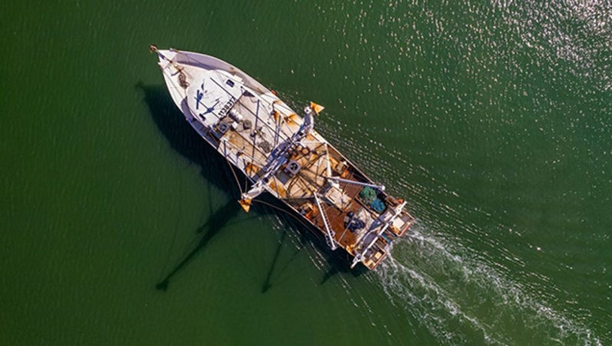 Measure that would halt inshore shrimp trawling advances