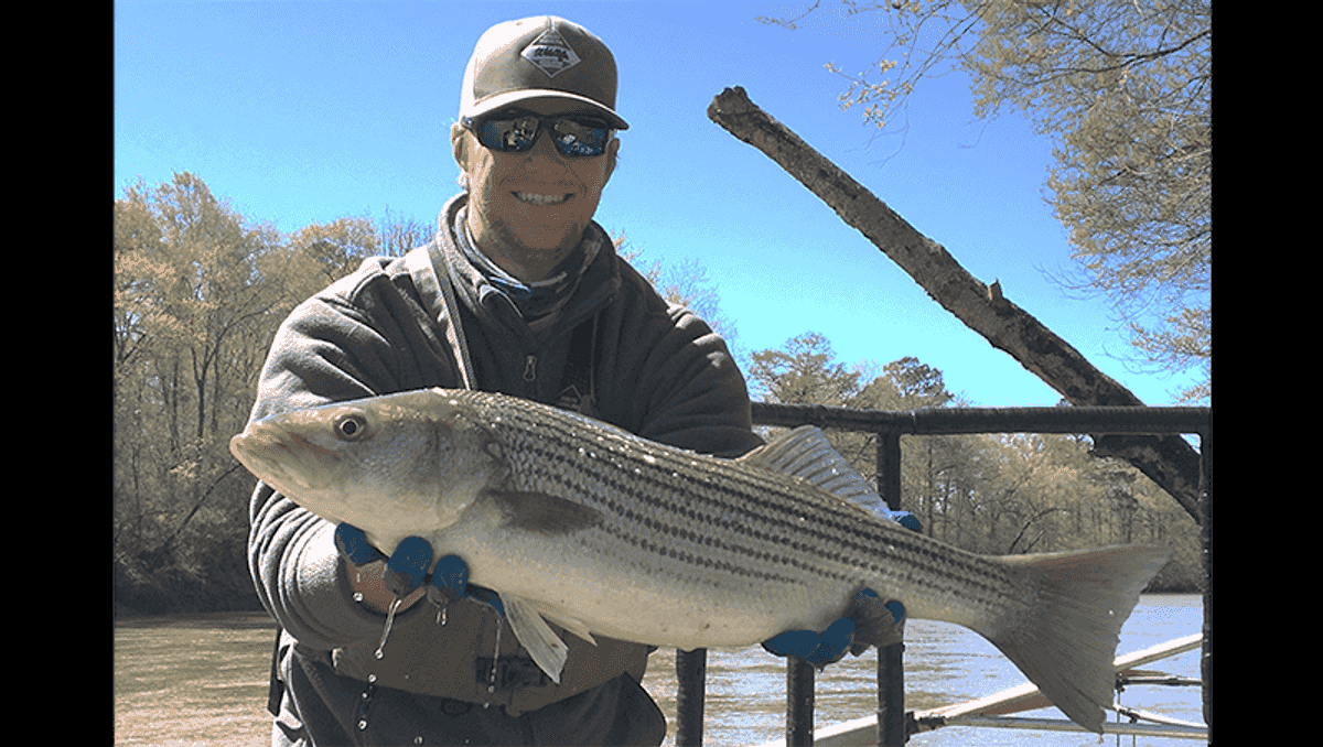 NCWRC announces Roanoke River striped bass season closure