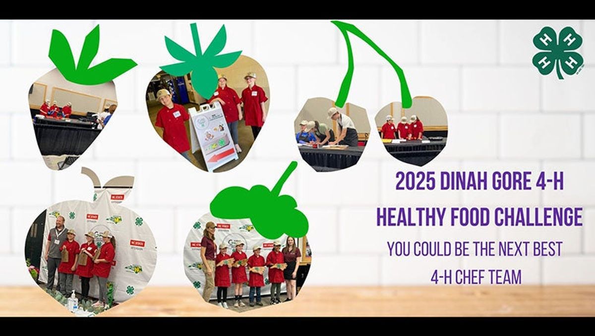 2025 Dinah Gore Healthy Food Challenge