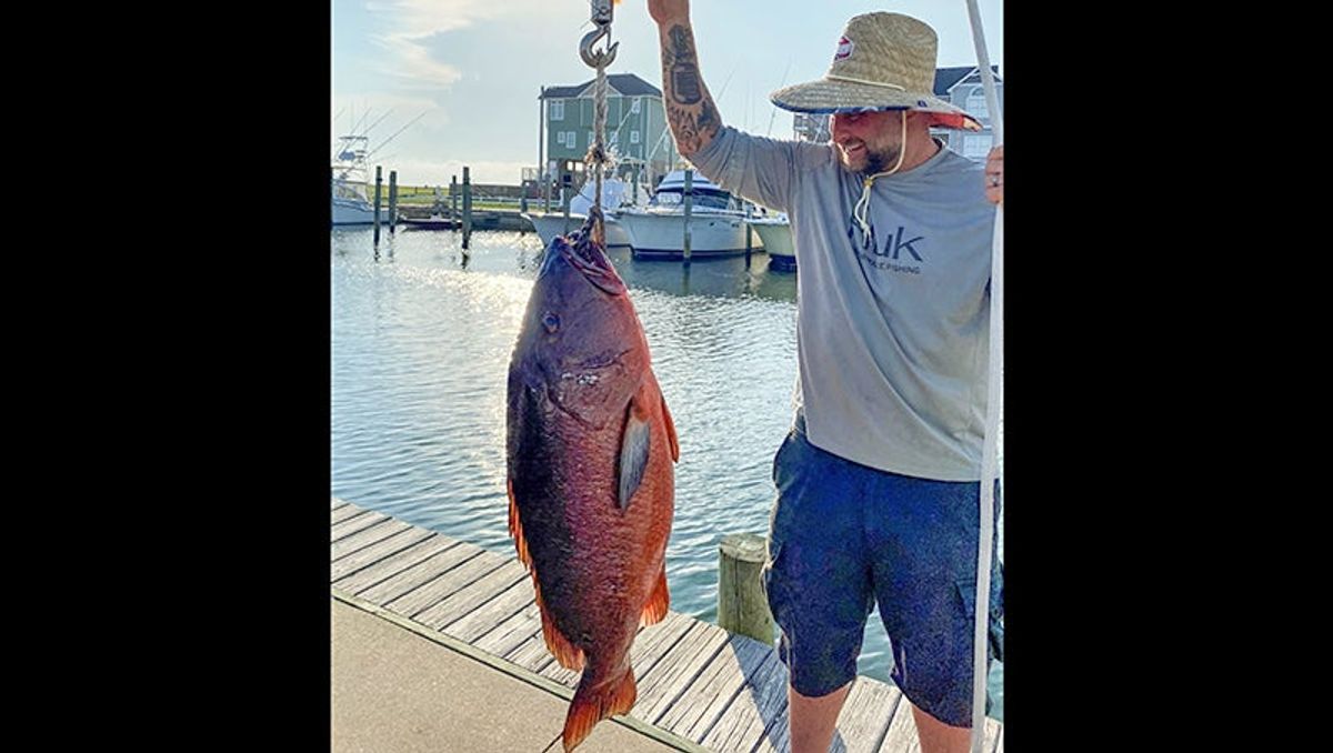 Cubera snapper caught off of Hatteras certified as state record
