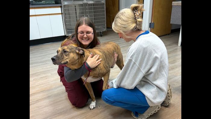 Martin’s Point Veterinary Hospital kicks off Coastal Humane Society’s ...