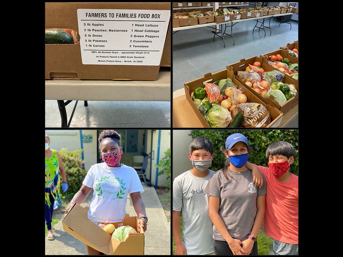 Food box giveaway Wednesday in Manteo