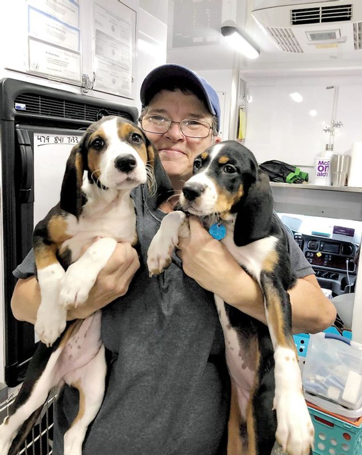 Officials push spay and neuter for pets
