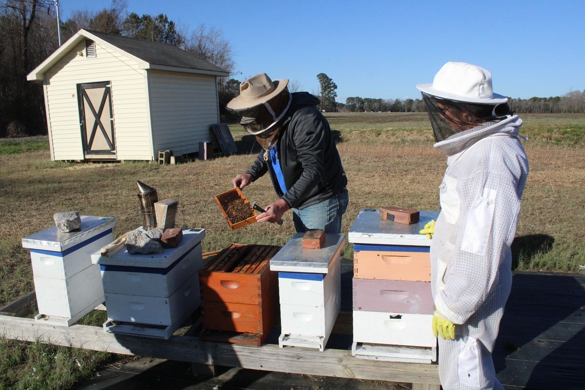 Beekeeping school starts March 21
