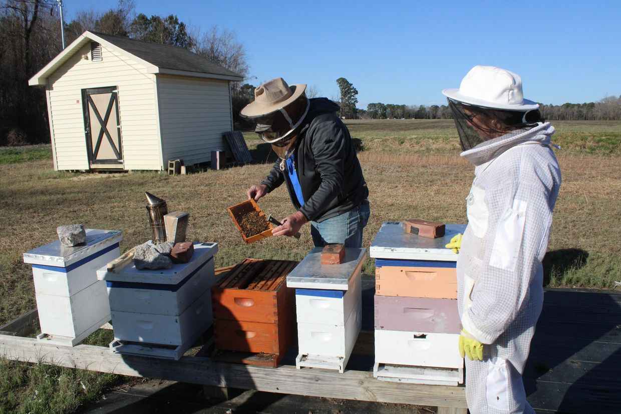 Beekeeping school starts March 21
