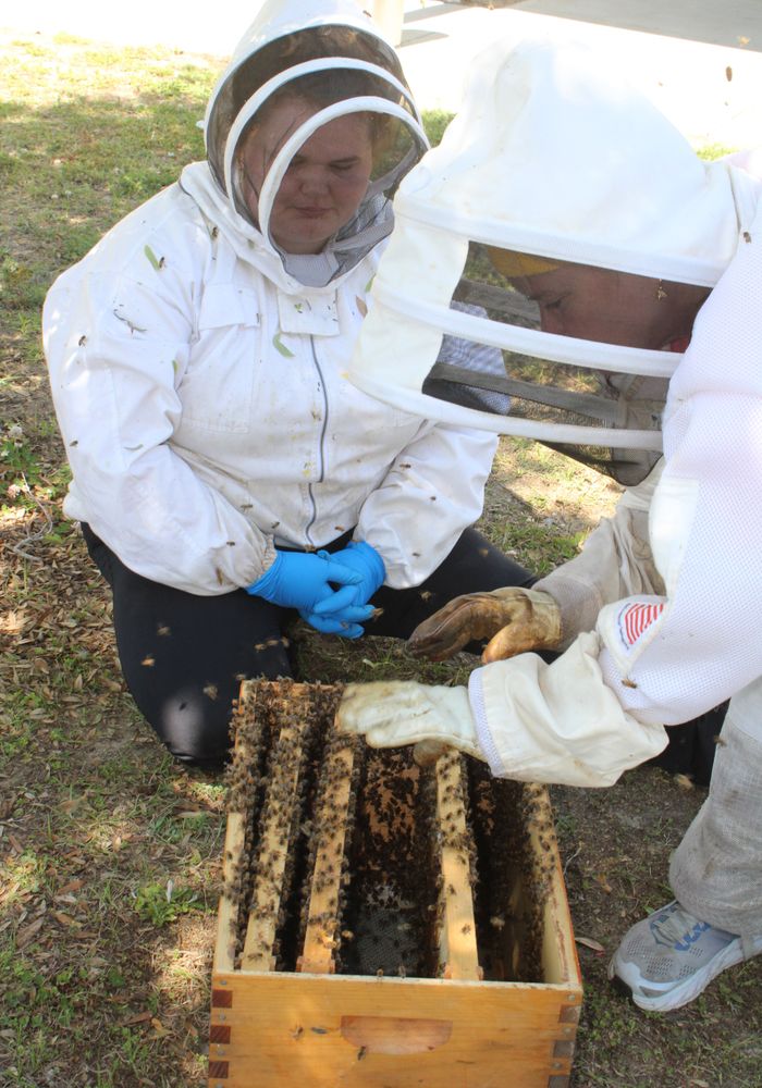 Beekeeping school starts March 21