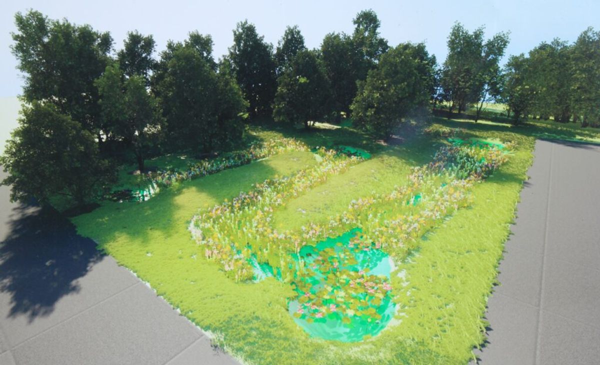 Wilson wetland project takes aim at pollution